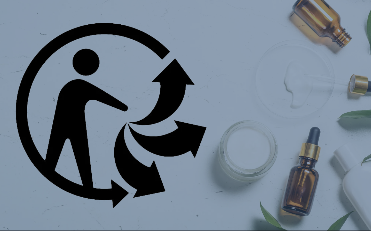 Logo TRIMAN et guide d'étiquetage : Obligations pour le tri en France